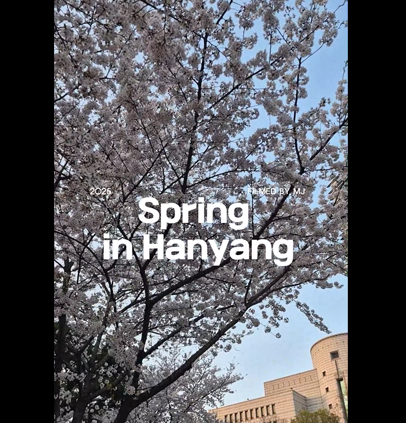 Spring in Hanyang | Hanyang International Summer School